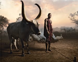 Orisha Mayor Oko ⋆ 【2023】